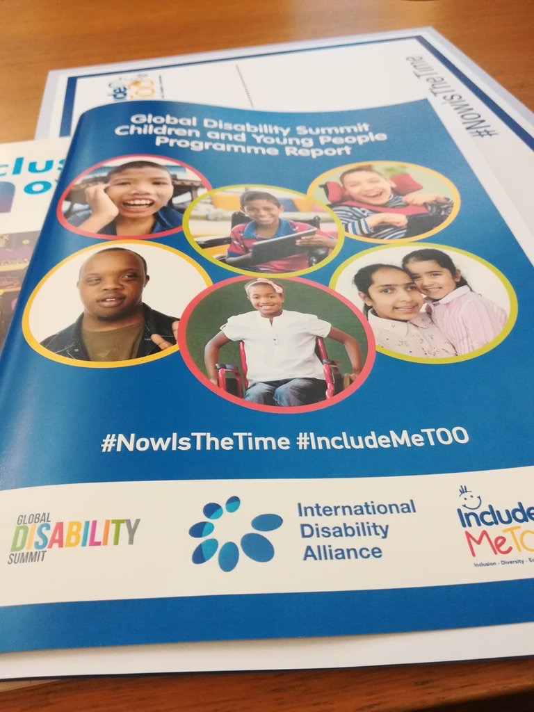 Include Me TOO GDS Children & Young People’s Report & Charter Launch